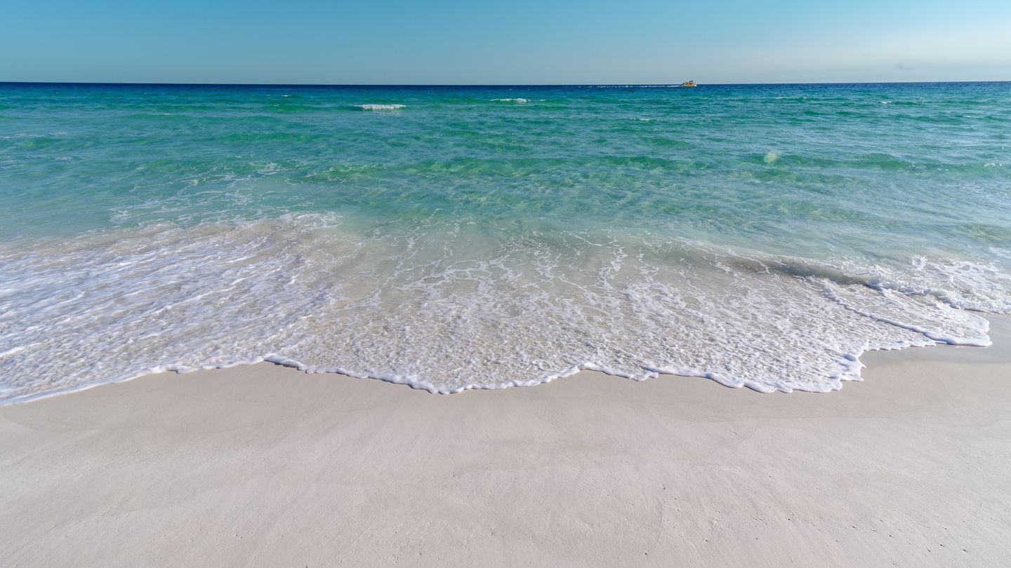 What Is Flesh-Eating Bacteria and Why Are Infections on the Rise ...